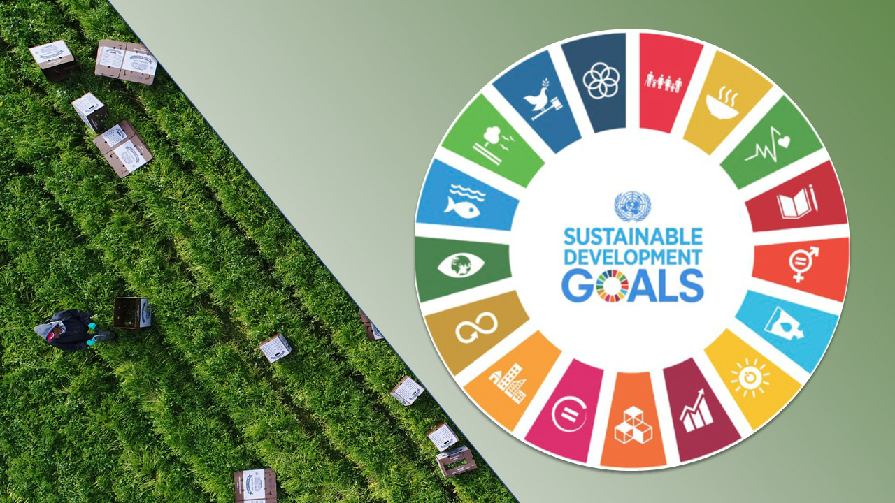 Sustainable companies, sustainable development | KION GROUP AG | KION ...