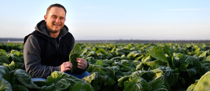 Capturing the sun's energy to benefit produce and trucks | KION GROUP AG