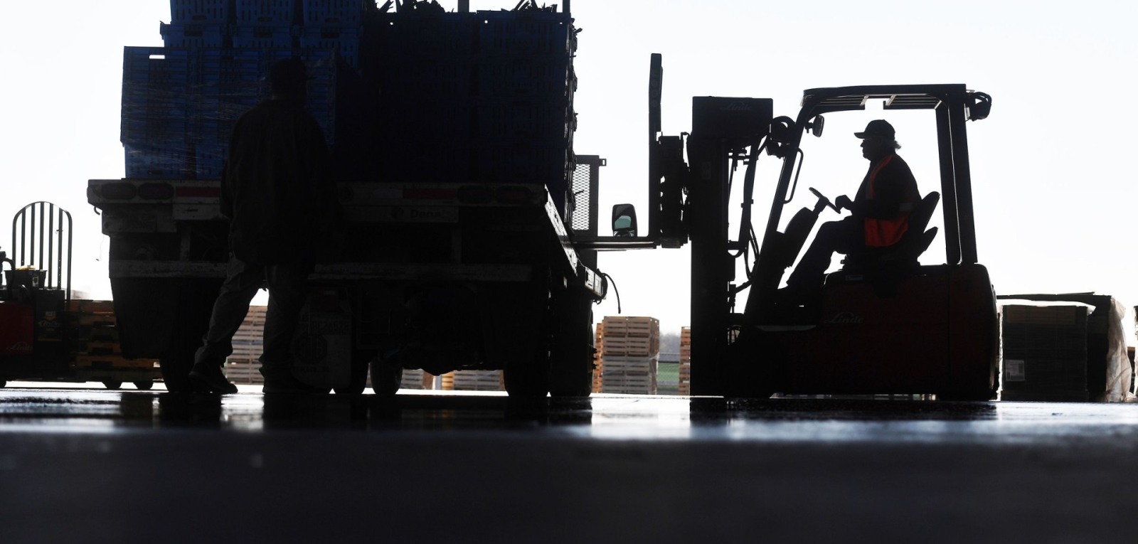 Capturing the sun's energy to benefit produce and trucks | KION GROUP AG