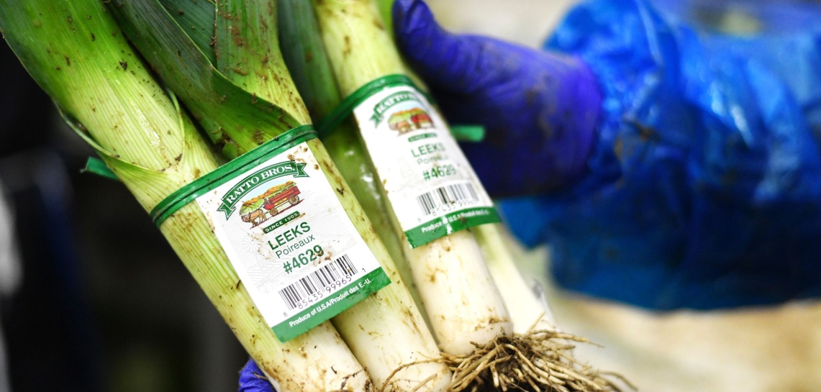 Capturing the sun's energy to benefit produce and trucks | KION GROUP AG