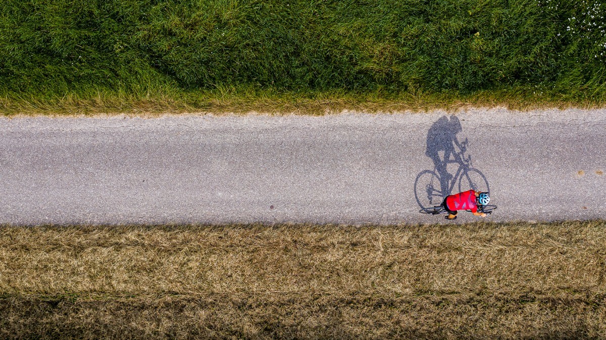 KION helps with tree cultivation and the flower trade | KION GROUP AG