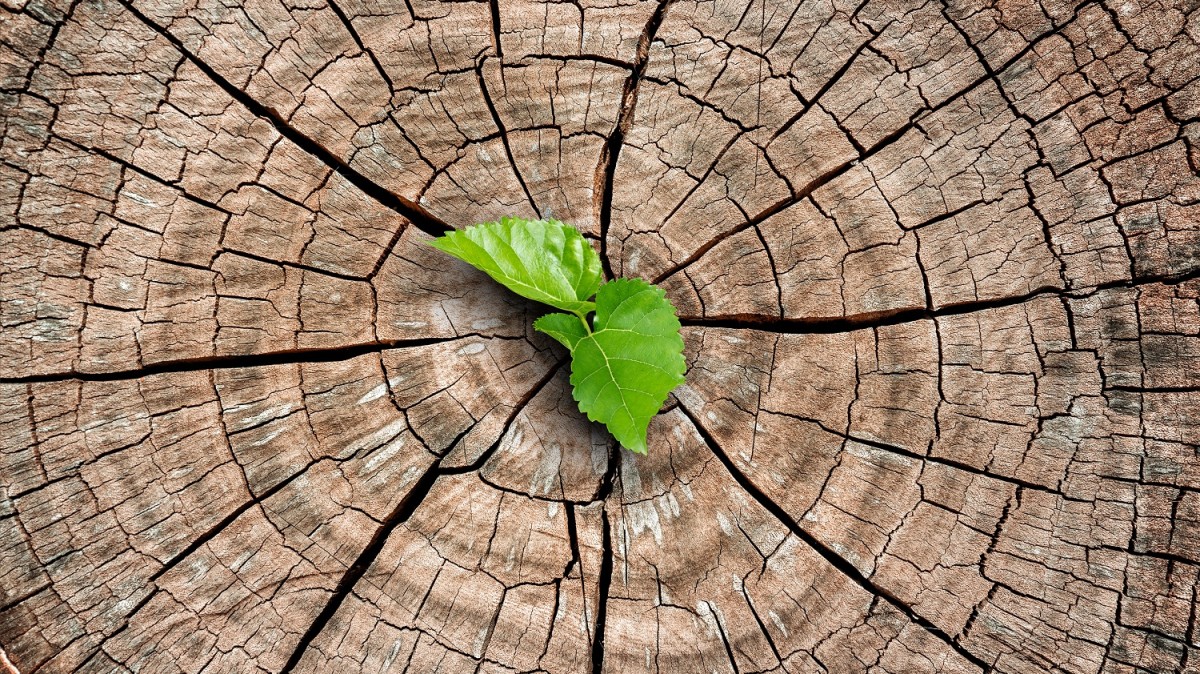 KION Group Uses Circular Economy | KION GROUP AG